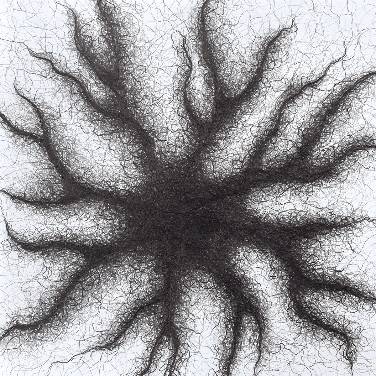 Judi Tavill – Galerie Lucida