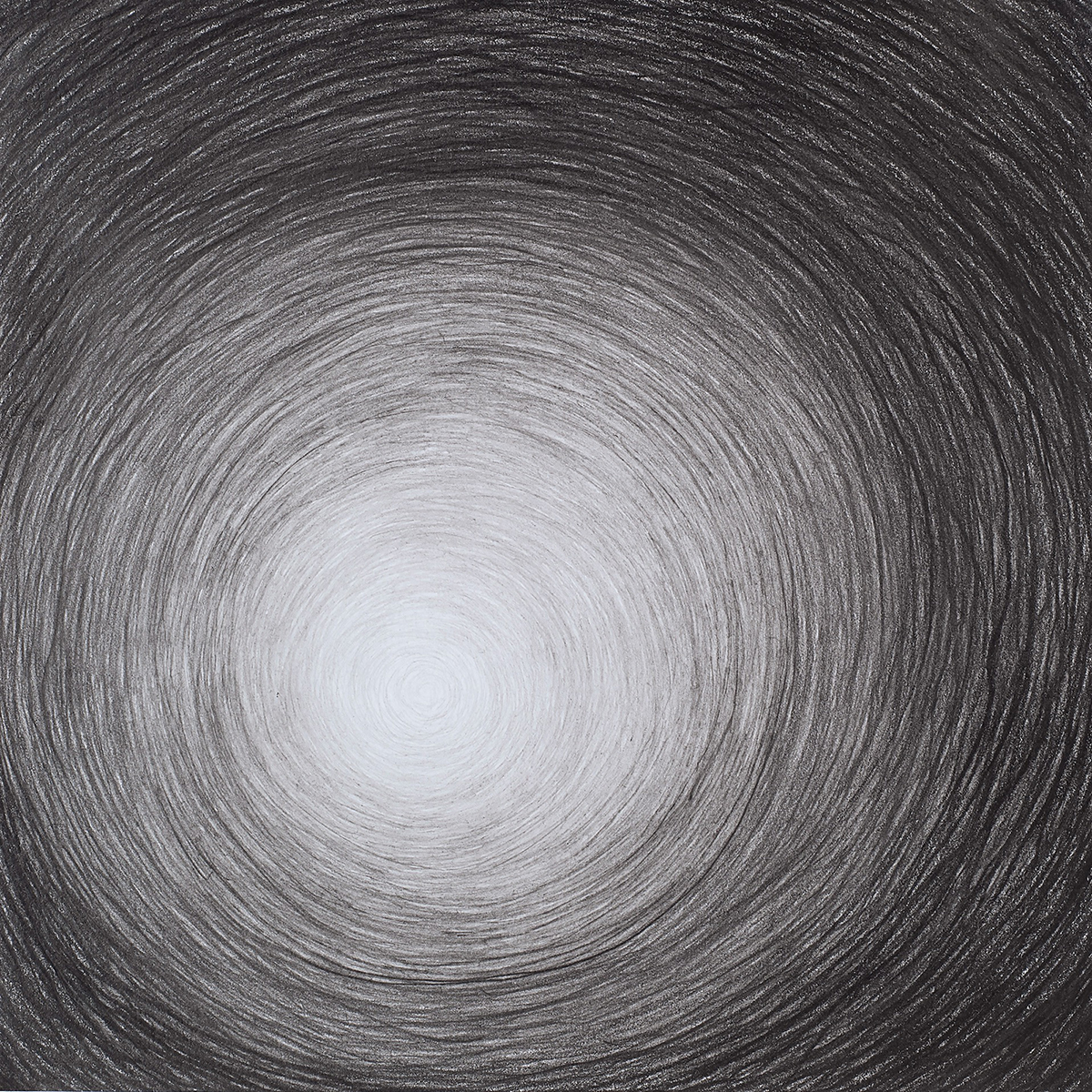 Judi Tavill – Galerie Lucida