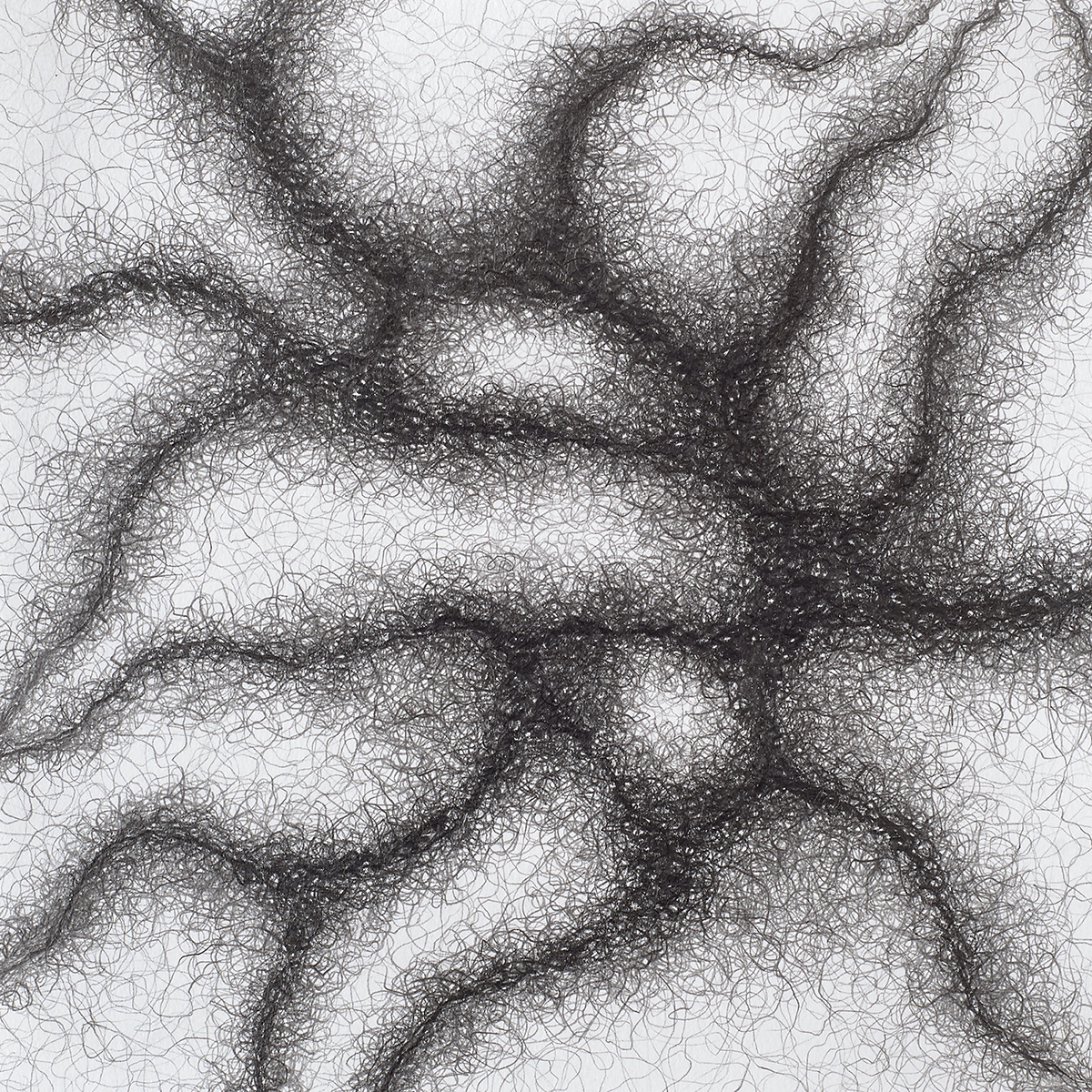 Judi Tavill – Galerie Lucida