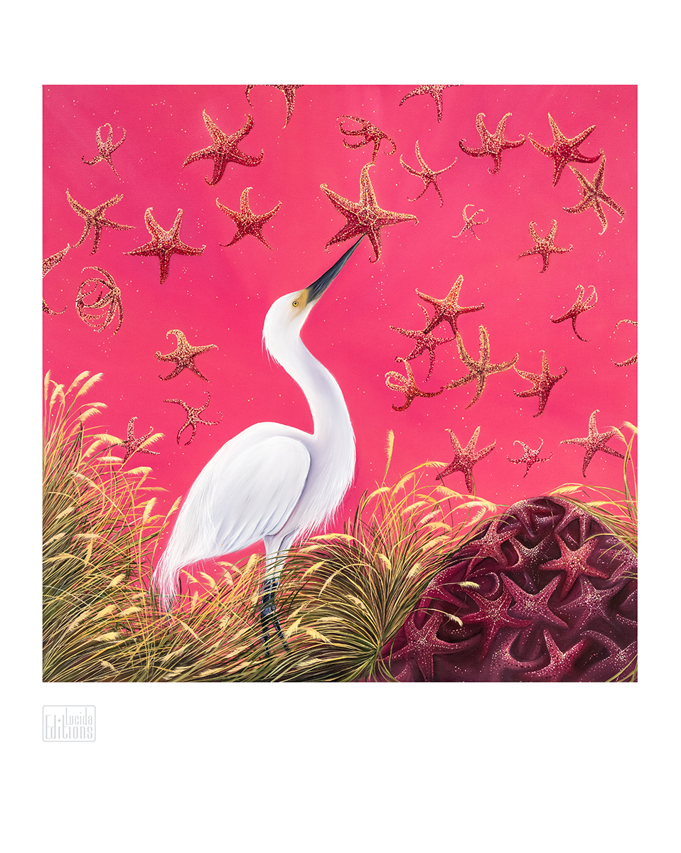 Allison Green | Star Catcher – Galerie Lucida