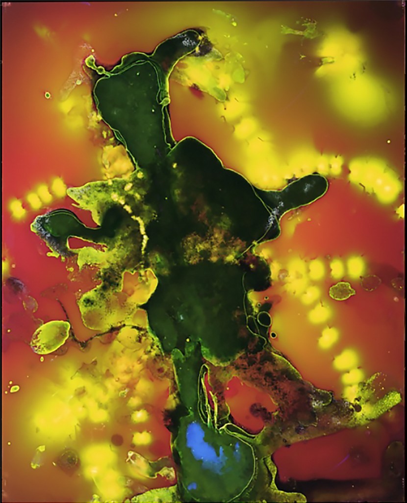 Michael Flomen – Galerie Lucida