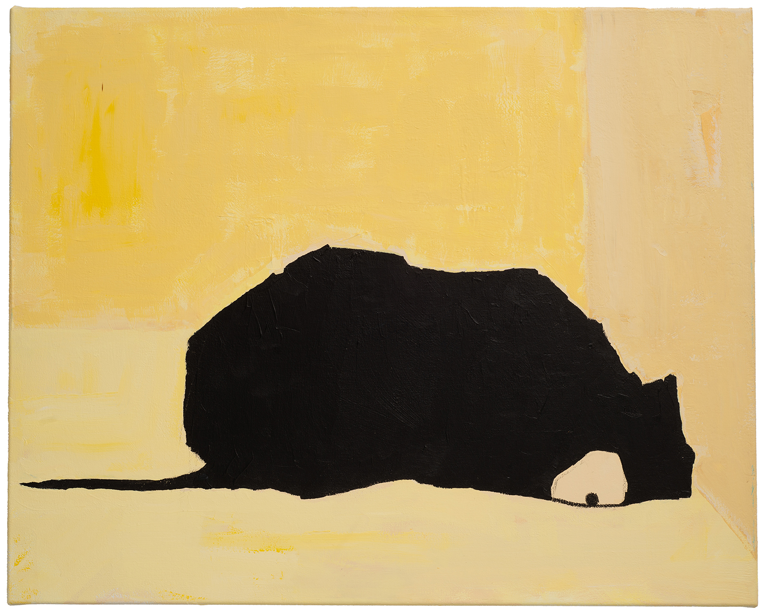 Scott Harbison | Lost – Galerie Lucida